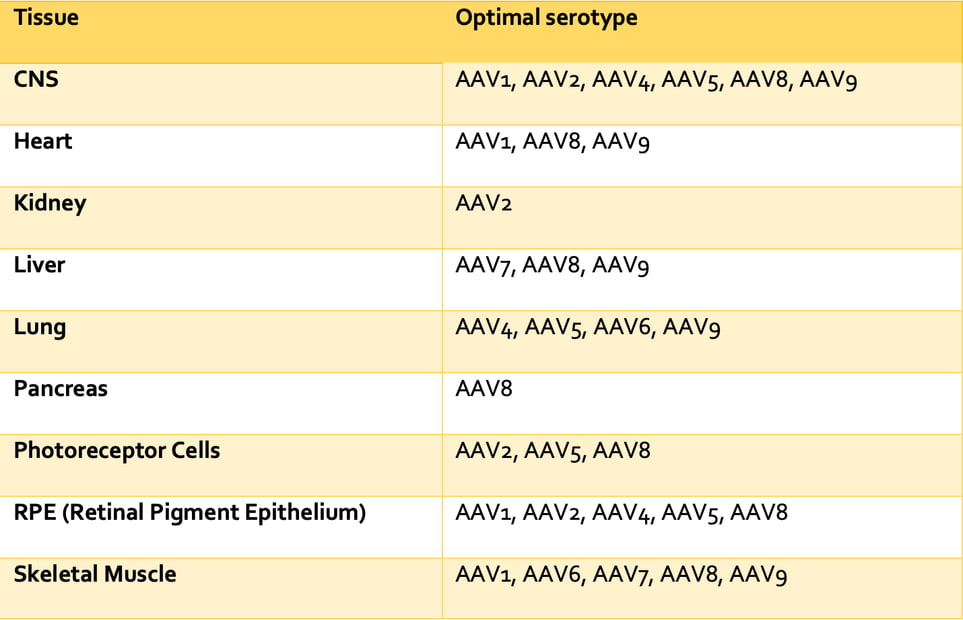 Adeno-Associated Virus Gene Therapy Landscape