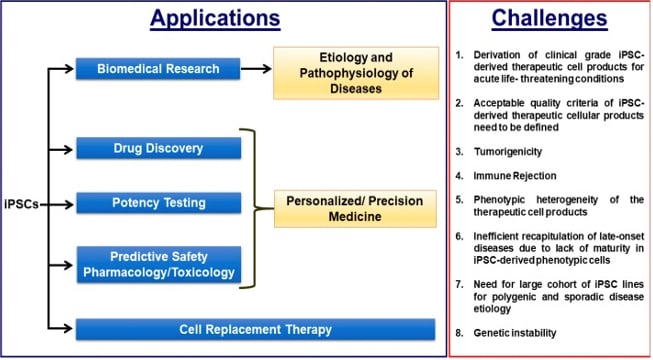 Unlocking iPSCs to Improve CNS Modeling and Drug Discovery
